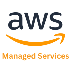 Application Management Services (AMS) & Support - Stannik